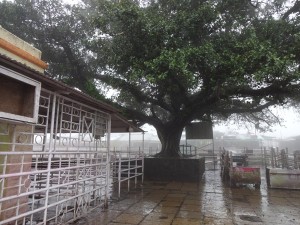 kalubai temple, visiting mandhardevi kalubai temple